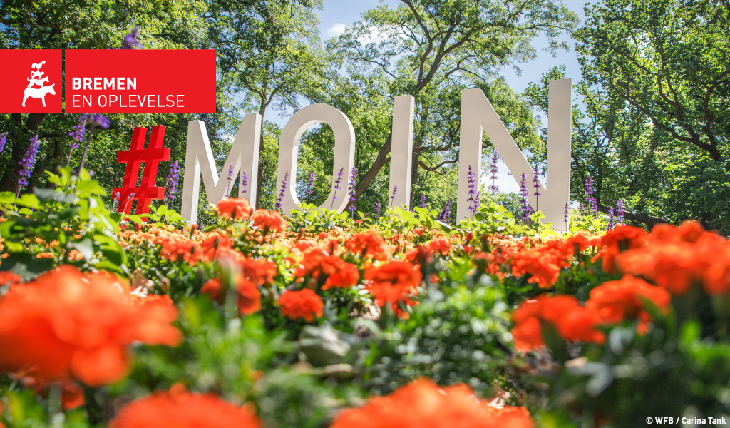 Troll hunting: Here you will find Dambo's trolls in Denmark & abroad